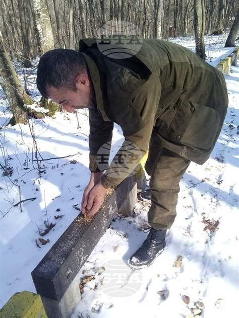 Хранилки за птици бяха поставени в Природен парк Сините камъни край Сливен Утро