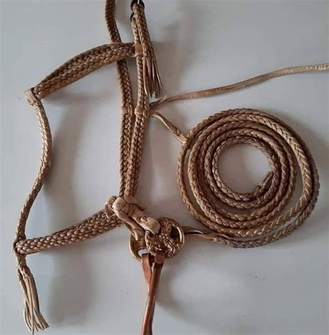 Суран эдлэл