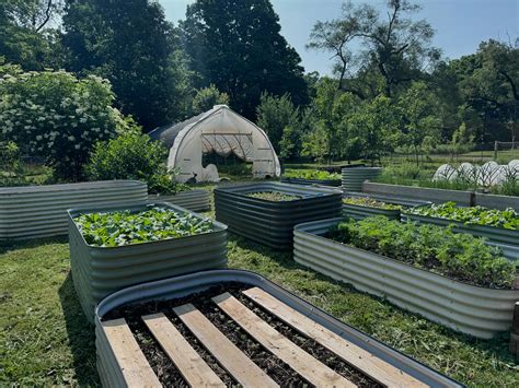 Marlee Thomas Marleethomaslifestylelive • Instagram Photos And Videos