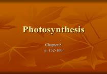 Photosynthesis Chapter 8 Biology Textbook P152 160