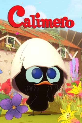 Calimero Tv Review Common Sense Media