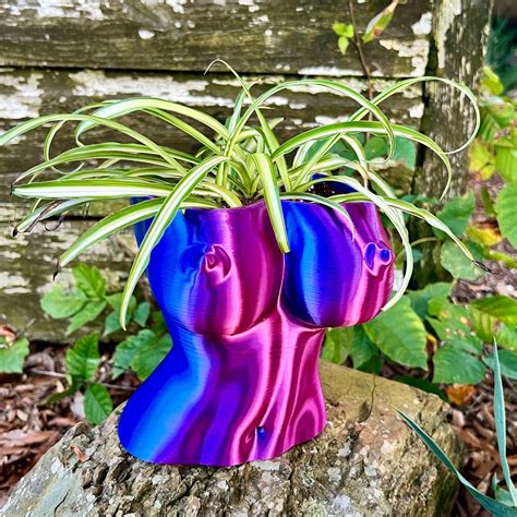 Sexy Boob Planter Home Decor Bust Breast Boobs Female Dickasaurus Rex Bachelorette Party T