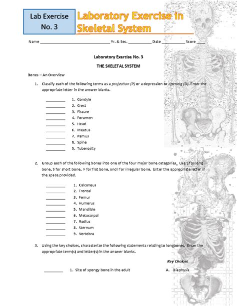 Lab Quiz Skeletal System At Mia Stanfield Blog