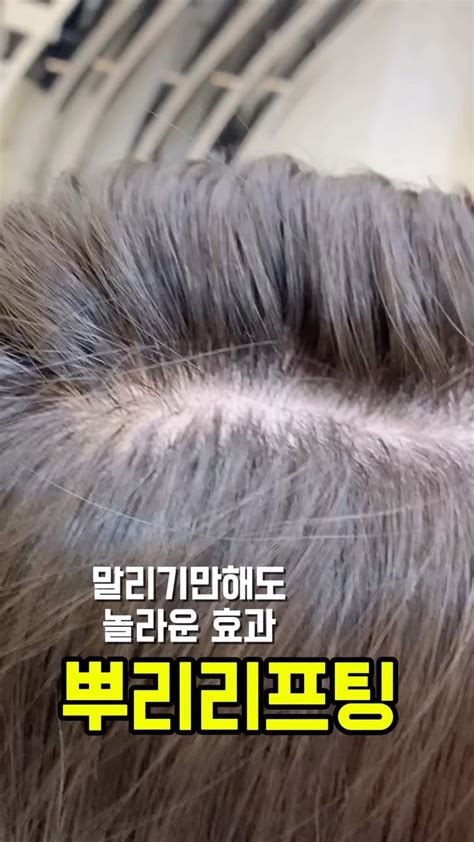뿌리리프팅과 허그펌전문 시원헤어디자이너 ⏬시니어 발레아쥬 ⏬ 안녕하세요 시원쌤이예요 새치머리가고민이신분 어두운 흑 갈색 갈색붉은색 헤나가 전부일까요 시니어