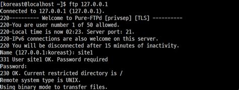 Pure Ftpd