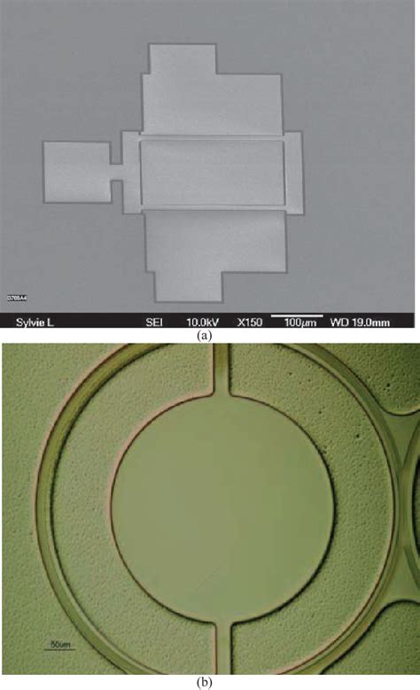 Figure 1 From Design Of Wide Temperature Range Resonant Mode Absolute Mems Pressure Sensor