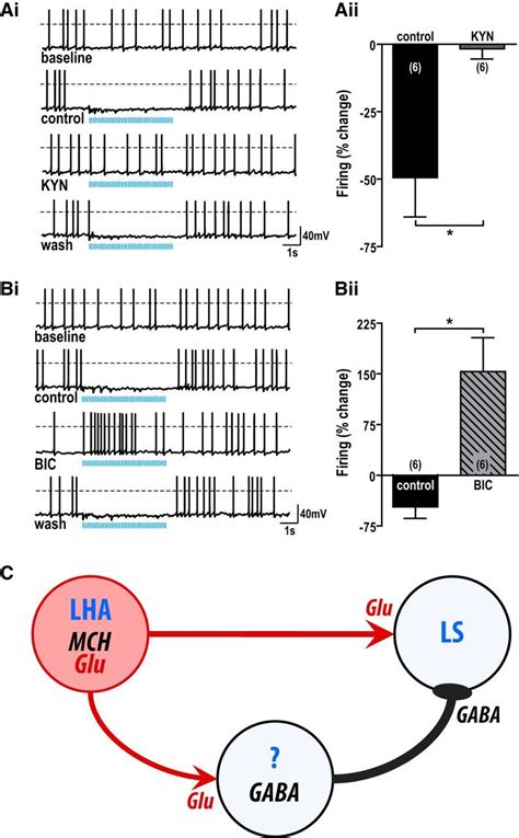 Melanin Concentrating Hormone Neurons Release Glutamate For Feedforward Inhibition Of The