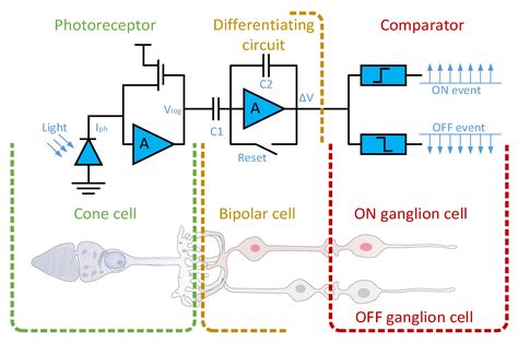 Sensors Free Full Text Denoising Method Based On Salient Region Recognition For The