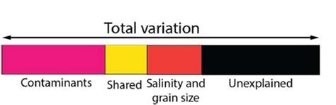A Conceptual Diagram Illustrating How The The Partitioning Of Variation Download Scientific