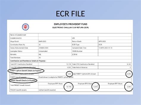 HOW to GENERATE PF CHALLAN FOR PMGKY BENEFIT परधनमतर गरब कलयण यजन