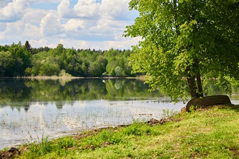 무성한 녹지와 반사되는 물로 둘러싸인 고요하고 평화로운 호수 전망을 즐기십시오 0명에 대한 스톡 사진 및 기타 이미지 0명 경관 구름 Istock