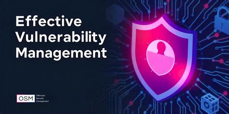 Effective Vulnerability Management For Reducing Security Risks
