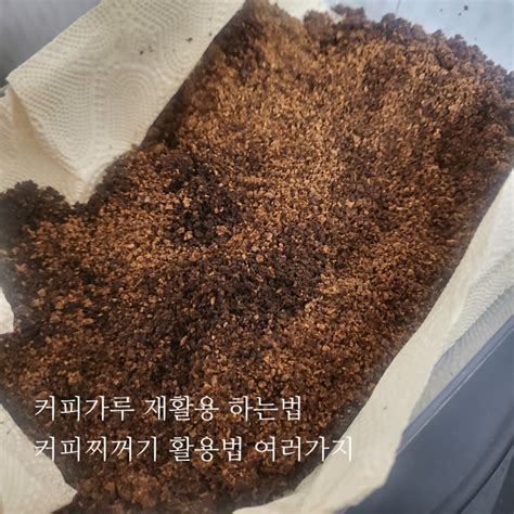 커피찌꺼기활용법 5가지 다양하게 커피가루 재활용 하는 방법 네이버 블로그 커피찌꺼기활용법 5가지 다양하게 커피가루 재활용 하는 방법 네이버 블로그