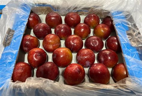Juan Ivan Smuts On Linkedin First African Rose Plums Was Picked Today And Will Be Shipped This…