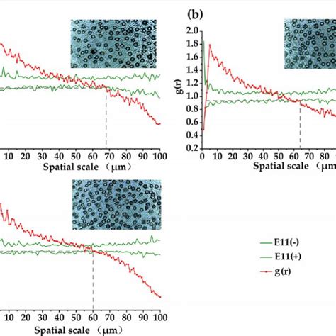 Effect Of Atmospheric Particulate Matter On Spatial Distribution