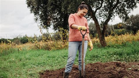 Що робити на городі та в саду в жовтні — 10 найважливіших справ Читайте на Ukr Net