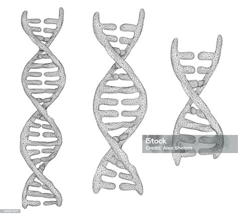 벡터 인간의 Dna의 일부 3d 삼각형 추상 스타일 Dna에 대한 스톡 벡터 아트 및 기타 이미지 Dna 0명 3차원