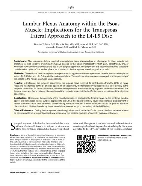 Pdf Lumbar Plexus Anatomy Within The Psoas Muscle Implications For