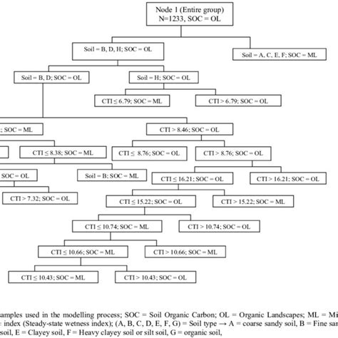 Classification Tree Model Based On The Combination Of Soil Type And Download Scientific Diagram