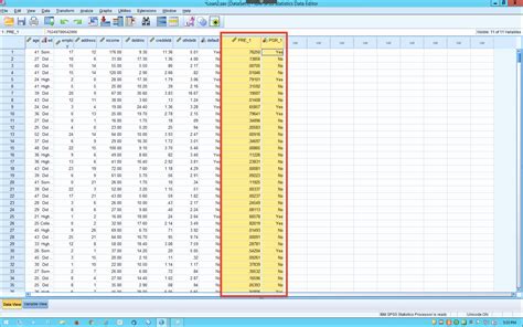 Spss Spreadsheet For In A Spreadsheet Program How Is Data Organized