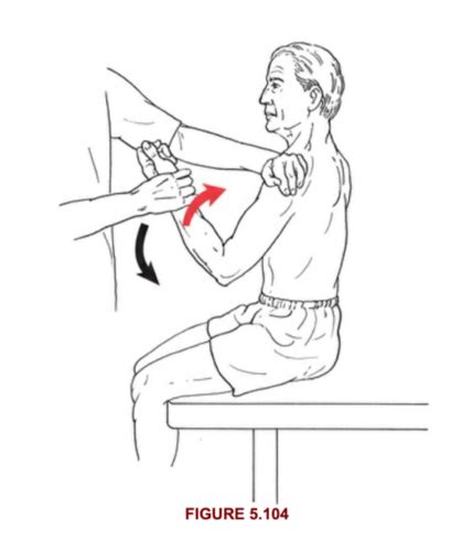 MMT Elbow Forearm And Wrist Flashcards Quizlet