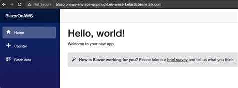 Deploy Net 6 Blazor Webassembly On Aws Elastic Beanstalk · Fabio