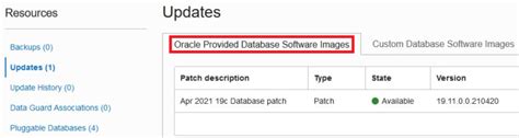 How To Reduce Patching Time For Oracle Databases In The Cloud Database Heartbeat