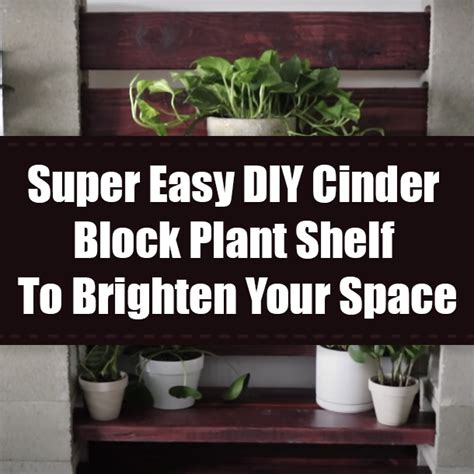 Super Easy DIY Cinder Block Plant Shelf To Brighten Your Space