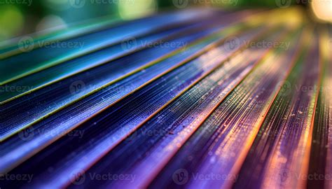 Palm Leaf Midrib Surface With Central Ridge For Natural Spine And