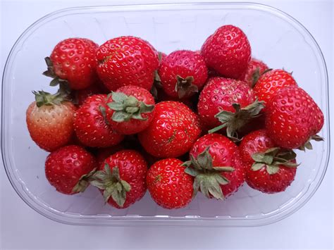 Data Object Detection Dataset And Pre Trained Model By University Projects