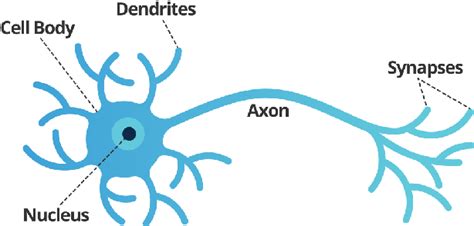 Lecture Notes Neural Network Architectures Paper And Code Catalyzex