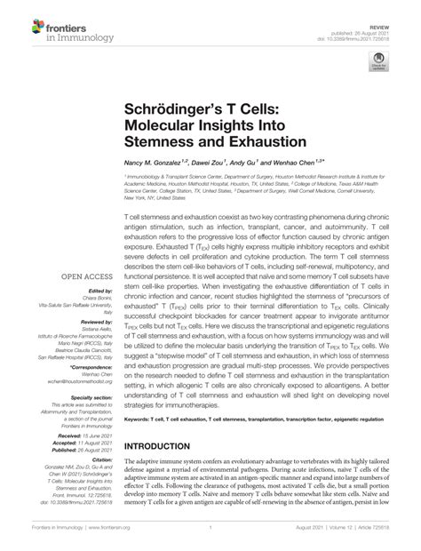 Pdf Schrödingers T Cells Molecular Insights Into Stemness And