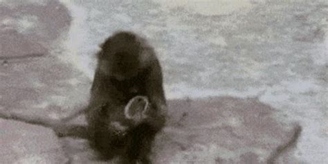 When I Do A Git Blame And The Code Is Mine The Coding Love