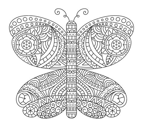 나비 젠탱글 색칠하기 프리미엄 벡터