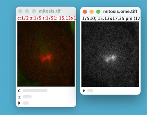 Wrong Image Dimensions When Opening Ometiff In Fiji Usage And Issues Imagesc Forum