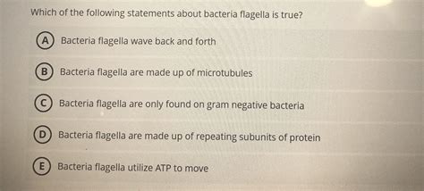 Solved Which Of The Following Statements About Bacteria