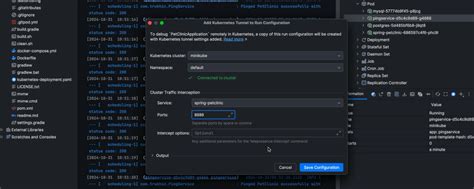 Whats New In Intellij Idea 20243