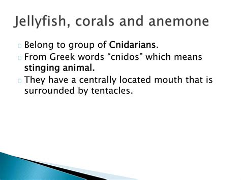 Animal Classification Grade 5 Pptx