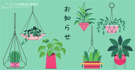 ささめ税務会計事務所NEWS