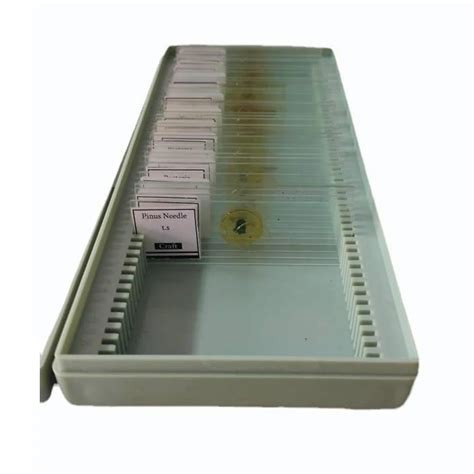 50 Mm X 25 Mm X 2 Mm Laboratory Microscope Glass Slides At ₹ 36 Box In Ranchi