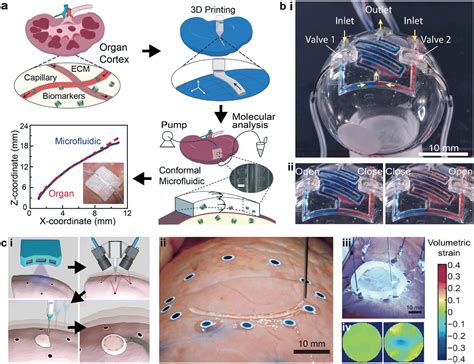 D Printed Microfluidics Advances In Strategies Integration And Applications Lab On A Chip
