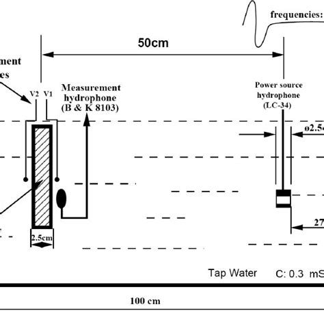 Schematic Diagram Of Electroseismic Measurements In A Water Tank A Download Scientific Diagram
