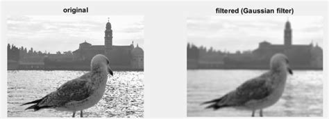 Dual Port Asyncronuous Fifo Design Part 1 Synchronizing Asynchronous Reset For Write And Read