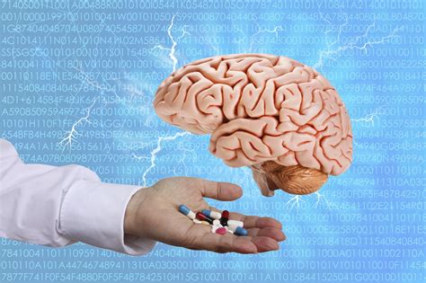 Real World Applications Of Fibonacci Numbers Nature Finance And Beyond Smore Science