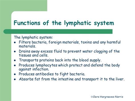 Lymphatic System