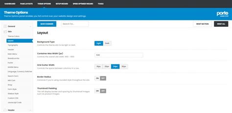 Skin Porto Documentation Theme Options