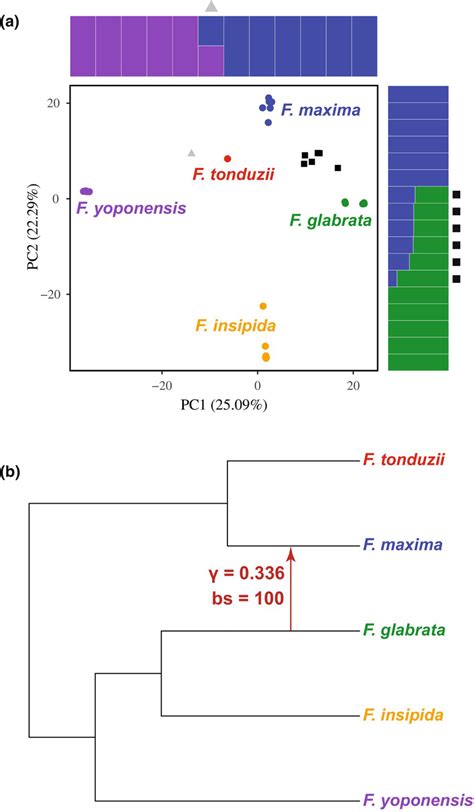 Population Genetic And Phylogenetic Results For The Host Figs A Download Scientific Diagram