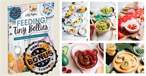 Cookbook Preorder Bonus Feeding Tiny Bellies