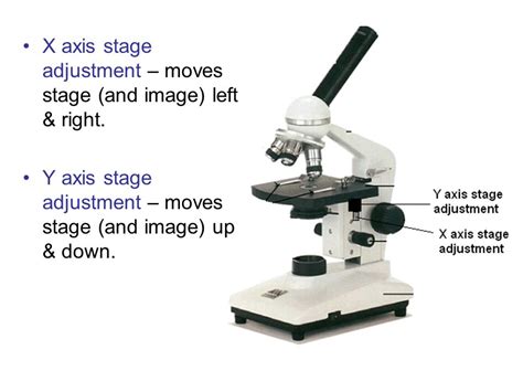 Microscope Parts And Function Ppt Video Online Download