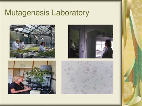 PPT Recombinant DNA Method Mutagenesis PowerPoint Presentation Free Download ID